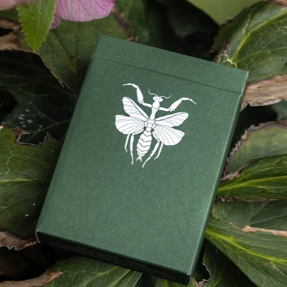 Mantis (Marqué) – Magic Dream