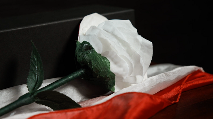 Fantasy Rose – Magic Dream