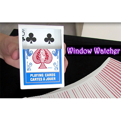 Window Watcher by Aaron Plener - Video DOWNLOAD – Magic Dream